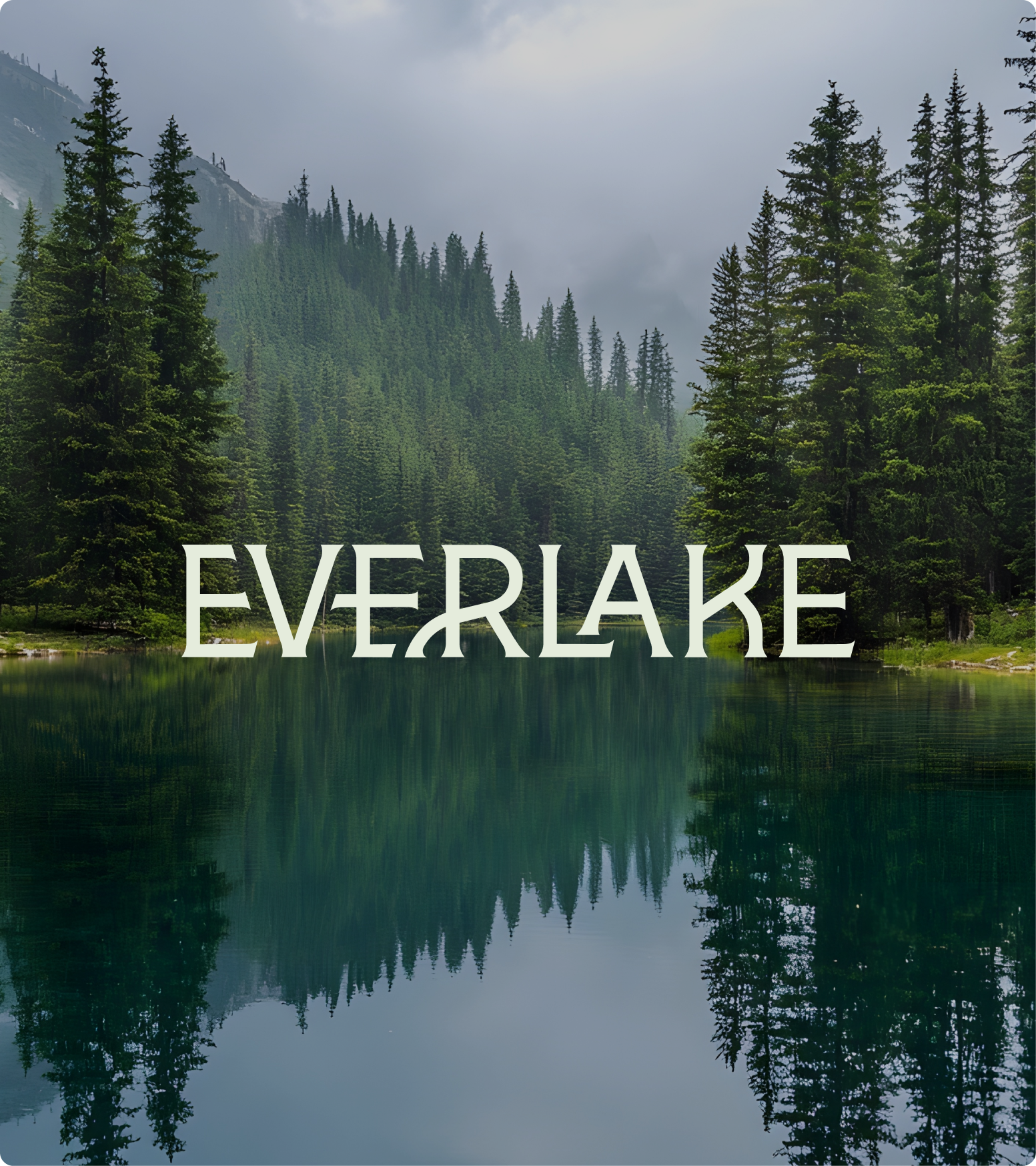 Everlake Case Study | Bald Agency